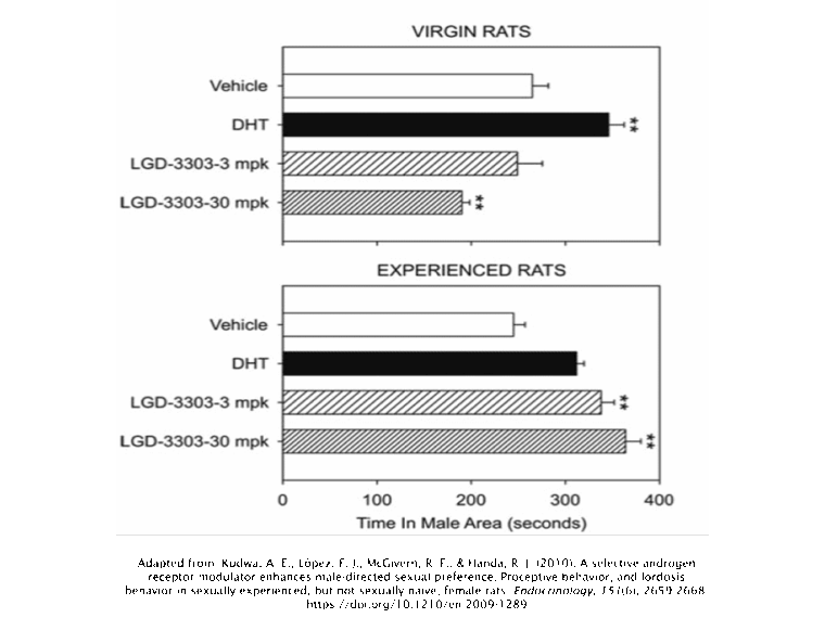 LGD-3303: The Complete Guide To SARMs